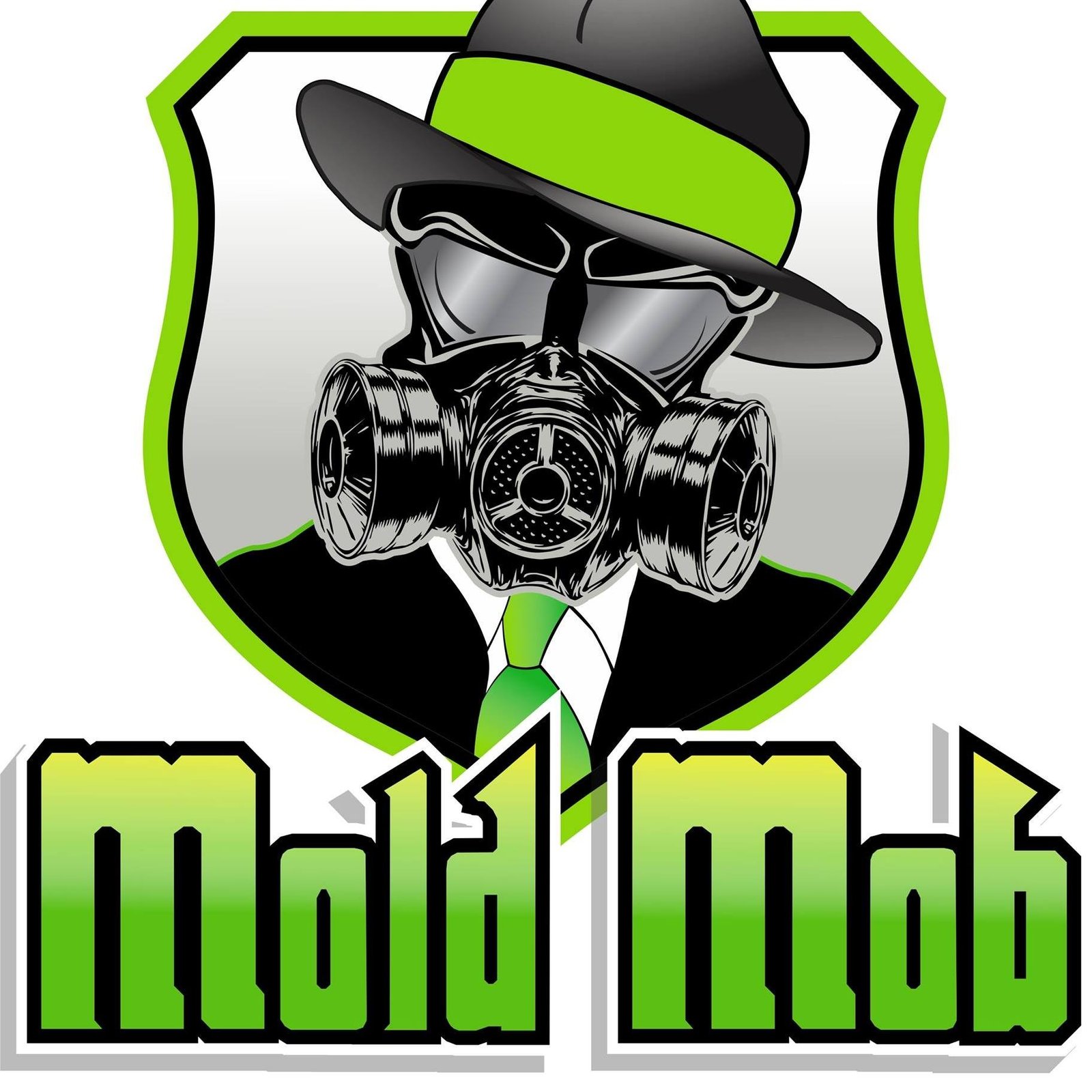 Understanding Professional Mold Remediation: How It Works